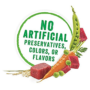 Purina Beneful High Protein Wet Dog Food With Gravy, Prepared Meals Savory Rice & Lamb Stew - (8) 10 oz. Tubs