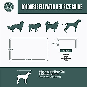Dazy Dog Elevated Folding Pet Bed Outdoor Waterproof (Large, Black)