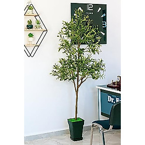 Artificial Olive Tree 6FT for Home Decor Indoor Bonus 20 ft String Light .Olive Trees Artificial Indoor Tree-Faux Olive Tree 6FT,Fake Olive Tree Faux Trees Indoor Tree,Faux Tree,Olive Tree Artificial.