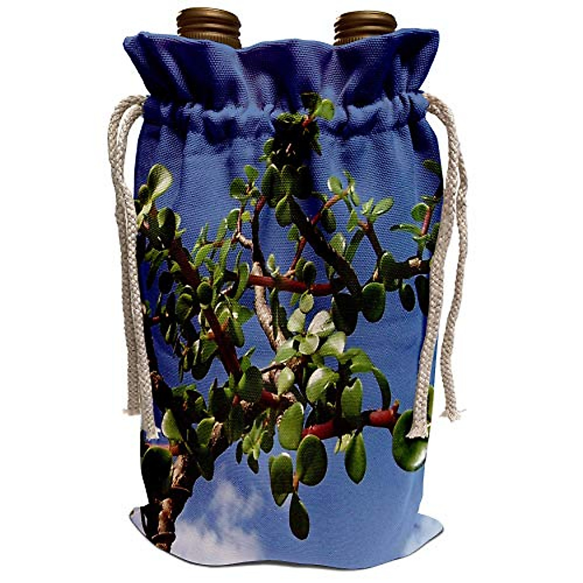 3dRose Susans Zoo Crew Bonsai - Bonsai portulacaria afra tree 1 - Wine Bag (wbg_182076_1)