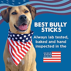 Best Bully Sticks All Natural Thick Ring Collagen Chews Easily digestible, Limited Ingredient, Rawhide Alternative Dog Chew - Free-Range Grass-Fed Beef Dog Treats - 10 Pack
