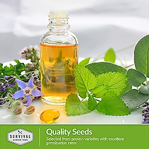 18 Medicinal Herb Seed Packets to Plant & Grow - Assortment of Beneficial Plant for Herbal Teas & Medicinal Uses - Non-GMO Heirloom Varieties - Survival Garden Seeds