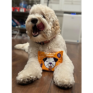 Pat Pat Noodles - Ramen for Dogs (Seafood Flavor) Pack of 3, Instant Ramen, Dog Noodles, Probiotics for Dogs