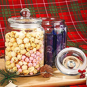 XPCARE Glass Jars for Laundry Room Organization Jars 0.5 Half Gallon Laundry Storage Glass Containers with Labels Organization with Lid for Laundry Detergent Laundry Pods Container, 2 Jars