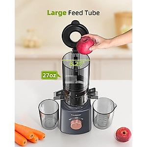 Cold Press Juicer with 8 Juice Bottles - Masticating Juicer Machines for Fruits and Veggies, 4.25" Large Feed Chute, Easy to Clean