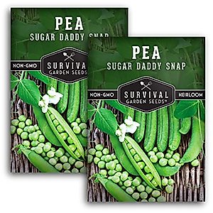 Survival Garden Seeds - Sugar Daddy Snap Pea Seed for Planting - 2 Packs with Instructions to Plant and Grow in Delicious Pea Pods Your Home Vegetable Garden - Non-GMO Heirloom Variety
