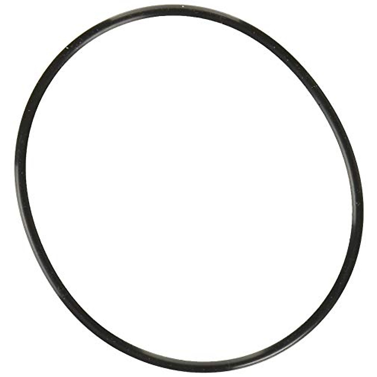 Ametek W34-OR O-Ring for Water Filter