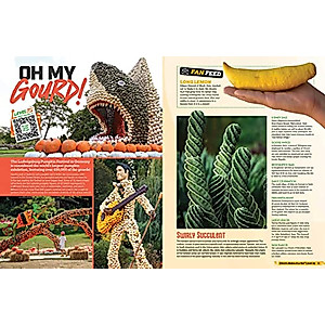 Ripley's Believe It Or Not! Level Up (20) (ANNUAL)