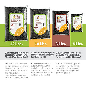 Schoen Farms Black Oil Sunflower Seeds for Birds (6 LBS)