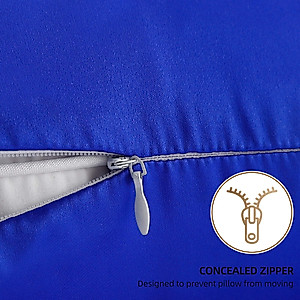 Satin Pillowcases Queen Size Set of 2 with Hidden Zipper - Luxury Pillow Cases 2 Pack for Hair and Skin (Royal Blue, 20''x30'')