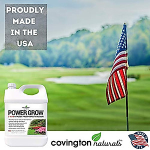 Liquid Lawn Fertilizer, 3-18-18 NPK Grass Fertilizer, Premium Lawn and Plant Nutrient Liquid Fertilizer and Food – Year Round Concentrate for Best Value – All Grass Types – 32 OZ