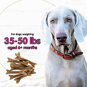 Fido Belly Bones for Dogs, 8 Yogurt Flavor Medium Dog Dental Treats (Made in USA) - 8 Count Dog Treats for Medium Dogs - Plaque and Tartar Control for Fresh Breath, Digestive Health Support