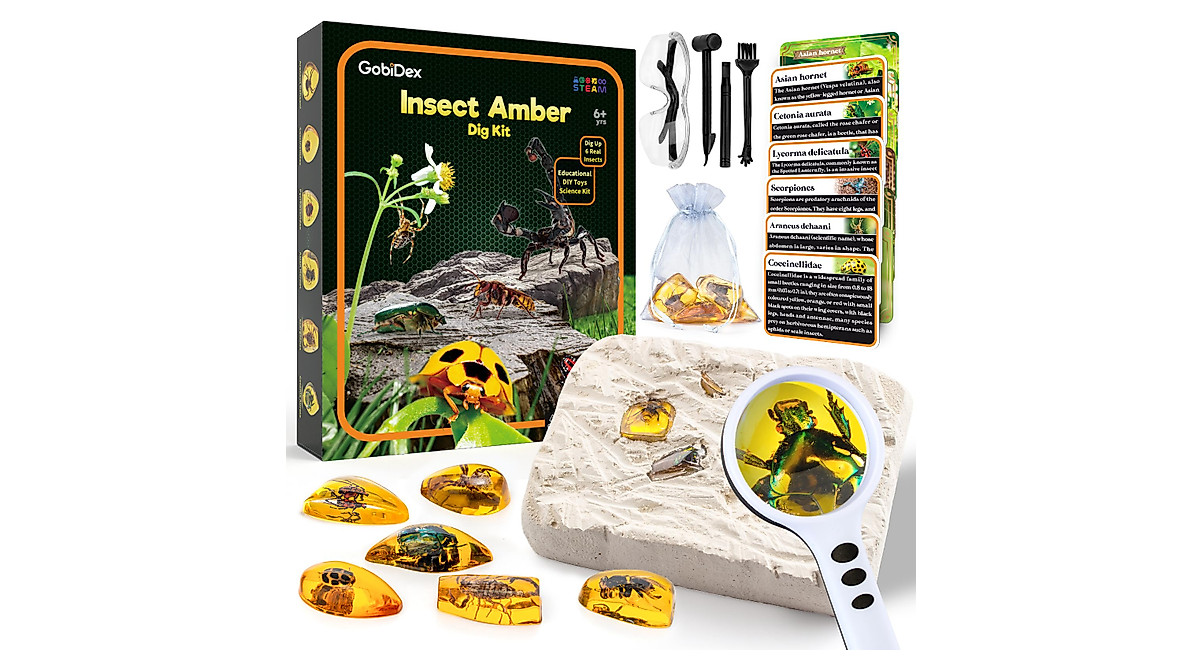 Amber Dig Kit for Kids Age 6+ | STEM Excavation & Bug Collection