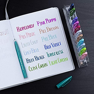 Pentel Arts Sign Pen Brush Tip, Assorted Colors, 12 Pack Box (SES15C2PC12)