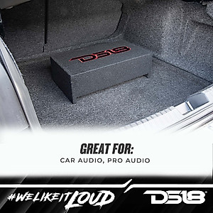 DS18 EN-DF10 10" Shallow Thin Subwoofer Enclosure Down-Firing Compact Sealed Design for Car Trucks 600 Watts Black