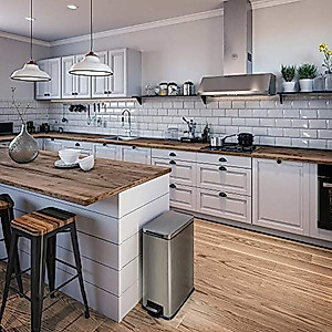 Home Zone Living 8 Gallon Slim Kitchen Trash Can, Stainless Steel, Step Pedal, 30 Liter