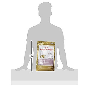 Royal Canin Bulldog Puppy Dry Dog Food, 6 lb bag