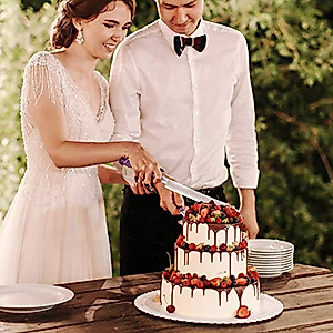 Homi styles Cake Knife and Server - Wedding Cake Knife Set - Serving Set for Receptions, Birthdays - Cake Cutting Set - Match the Color to Your Event Theme - Cake Knife and Cutter (Purple)