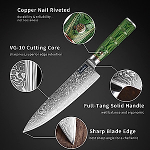 Damascus Chef Knife 8 inch- Razor Sharp Kitchen Knife Made of Damascus VG-10 Steel Special Chef's Knife for the Kitchen, Green Ebony Handle Ergonomic (8.03)…