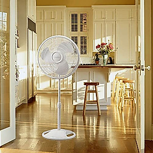 Lasko 16 Inch Oscillating Adjustable Tilting Pedestal Stand Fan, White (2 Pack) (2520 X 2)