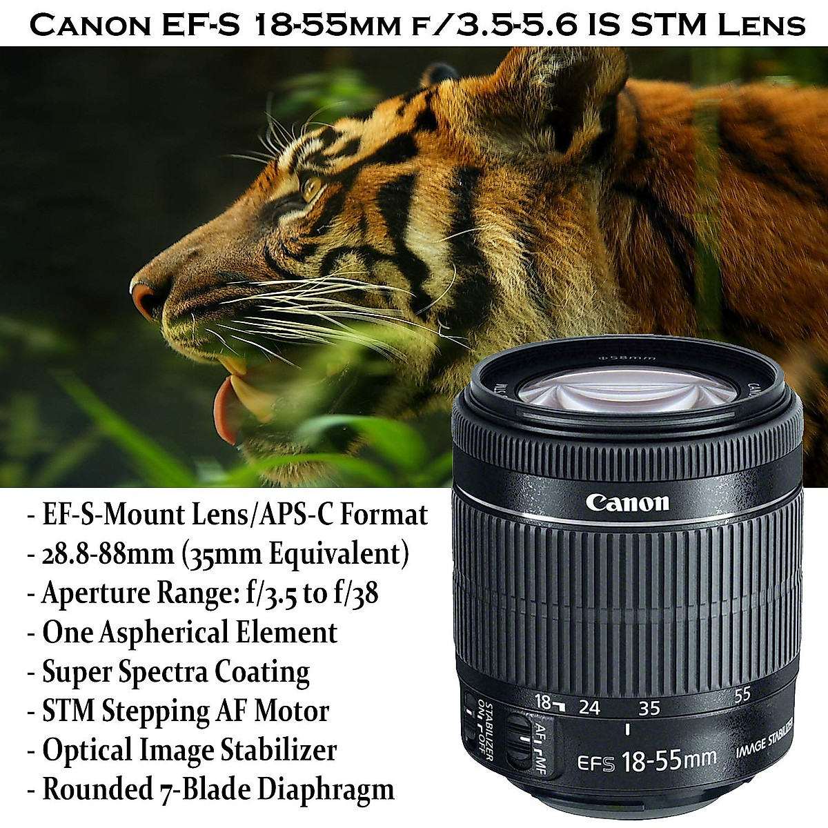 Canon EOS 90D Digital SLR Camera & 18-55mm STM Lens Bundle with Battery Grip & Professional Accessory Bundle (16 Items)