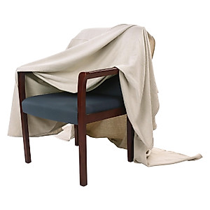 EZ Drop Painter's Canvas Fabric Drop Cloth for Painting (4 ft. x 5 ft.)