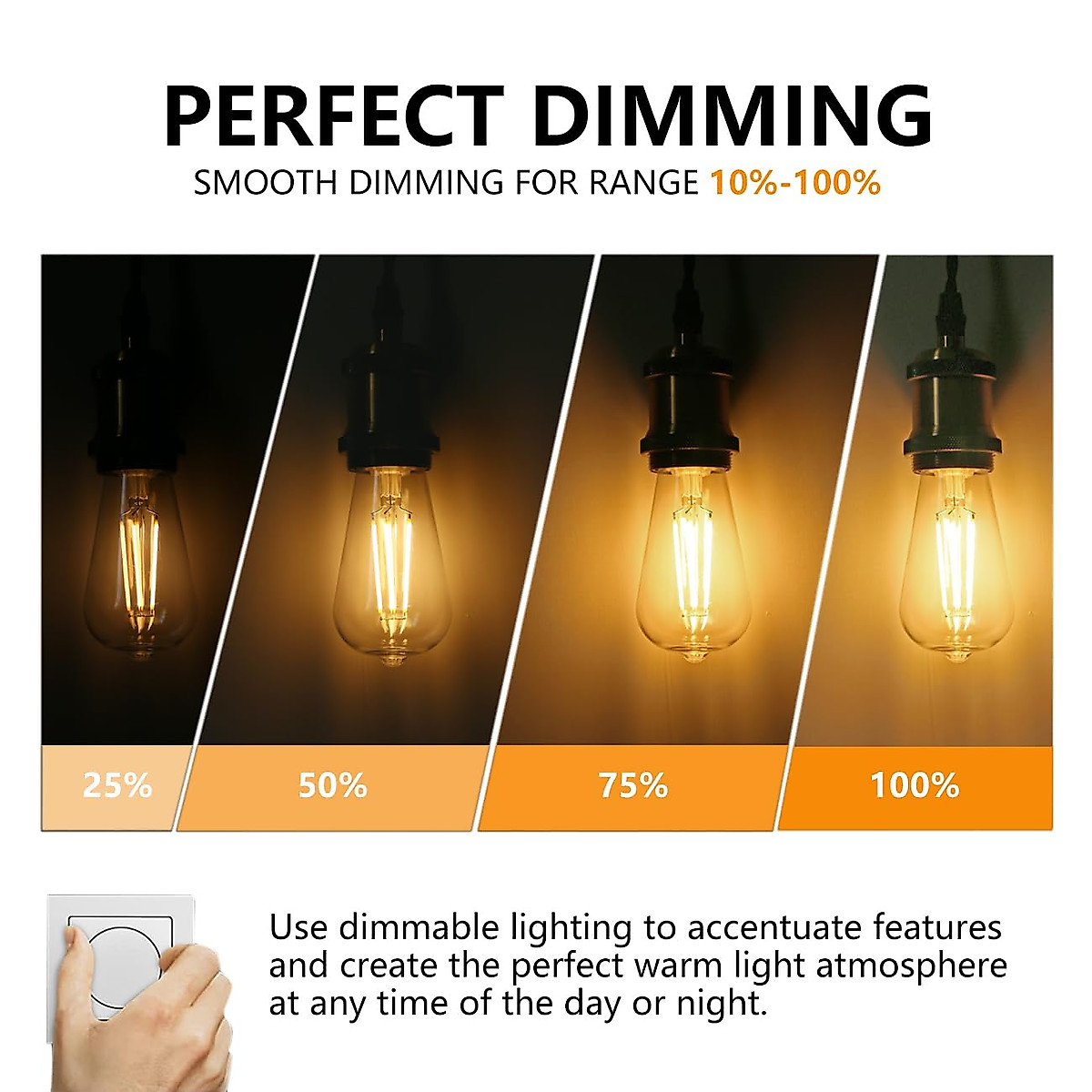 BORT ST58/ST19 Vintage LED Edison Bulbs, Warm White 2700K, Dimmable 6W Edison Light Bulbs, 60W Equivalent, 700LM, E26 Standard Base Filament LED Bulb, Clear Plastic - 12Pack