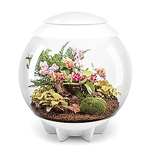 biOrb AIR 60 LED Terrarium - 16 gallon, white (46147)