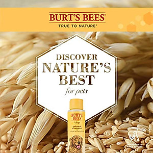 Burt's Bees for Dogs Natural Oatmeal Dog Shampoo | With Colloidal Oat Flour & Honey | Cruelty Free, Sulfate & Paraben Free, pH Balanced for Dogs - Made in USA, 16 Oz - Pack of 6
