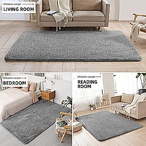 Chloelov Soft Thick Fluffy Faux Fur Area Rug for Living Room 5' x 8', Luxury Plush Shaggy Fuzzy Bedside Rugs for Bedroom Dorm Nursery, No-Slip Large Furry Cozy Accent Carpet Mats for Sofa Floor, Grey