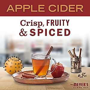 MRS. MEYER'S CLEAN DAY Liquid Dish Soap, Biodegradable Formula, Limited Edition Apple Cider, 16 fl. oz