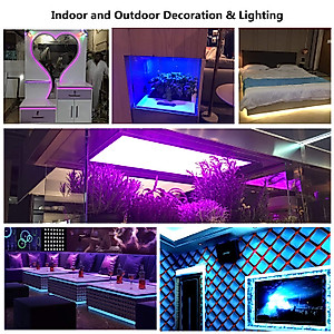 WEAPRIL Led Strip Lights,32.8FT/10M Flexible Tape Lights Color Changing 300 LEDs SMD5050 RGB Strip Lights Kit with 24key Remote Control for Home Bedroom Kitchen and Party, Non-Waterproof (32.8FT)