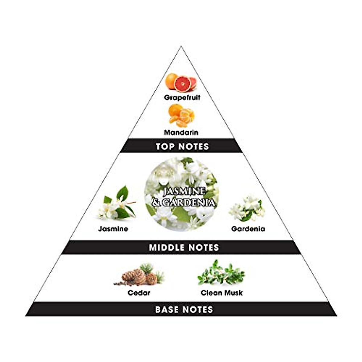 EcoAroma Jasmine & Gardenia Luxury Scented Coco-Soy Jar Candles Organic Coconut Soy Aromatherapy Candles Highly Scented Home Decorative Fragrance Gifts Hand Poured 2 Wicks 10 Oz