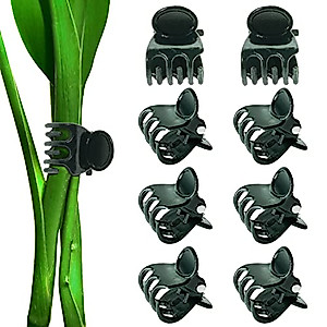 BEADNOVA Plant Clips 100Pcs Orchid Clips Orchid Support Clips Vine Clips Plant Clips for Support Flower Orchid Vine (100PCS)