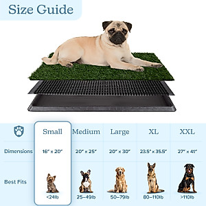 Artificial Grass Puppy Pee Pad for Dogs and Small Pets - 16x20 Reusable 3-Layer Training Potty Pad with Tray - Dog Housebreaking Supplies by PETMAKER