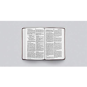 ESV Large Print Value Thinline Bible (TruTone, Mahogany, Border Design)