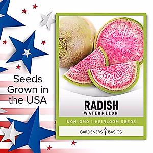 Watermelon Radish Seeds for Planting - Heirloom, Non-GMO Vegetable Seed - 2 Grams of Seeds Great for Outdoor Spring, Winter and Fall Gardening by Gardeners Basics