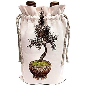 3dRose Boehm Graphics Bonsai - A cherry tree bonsai with cherries - Wine Bag (wbg_179992_1)
