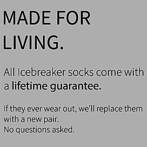 Icebreaker Merino Men's Mens Hike Liner Crew, Black, M