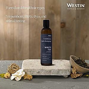 Westin White Tea Aloe Conditioner, 8 ounces - Repairive Conditioner for All Hair Types with Lightweight Formula, Signature White Tea Aloe Scent