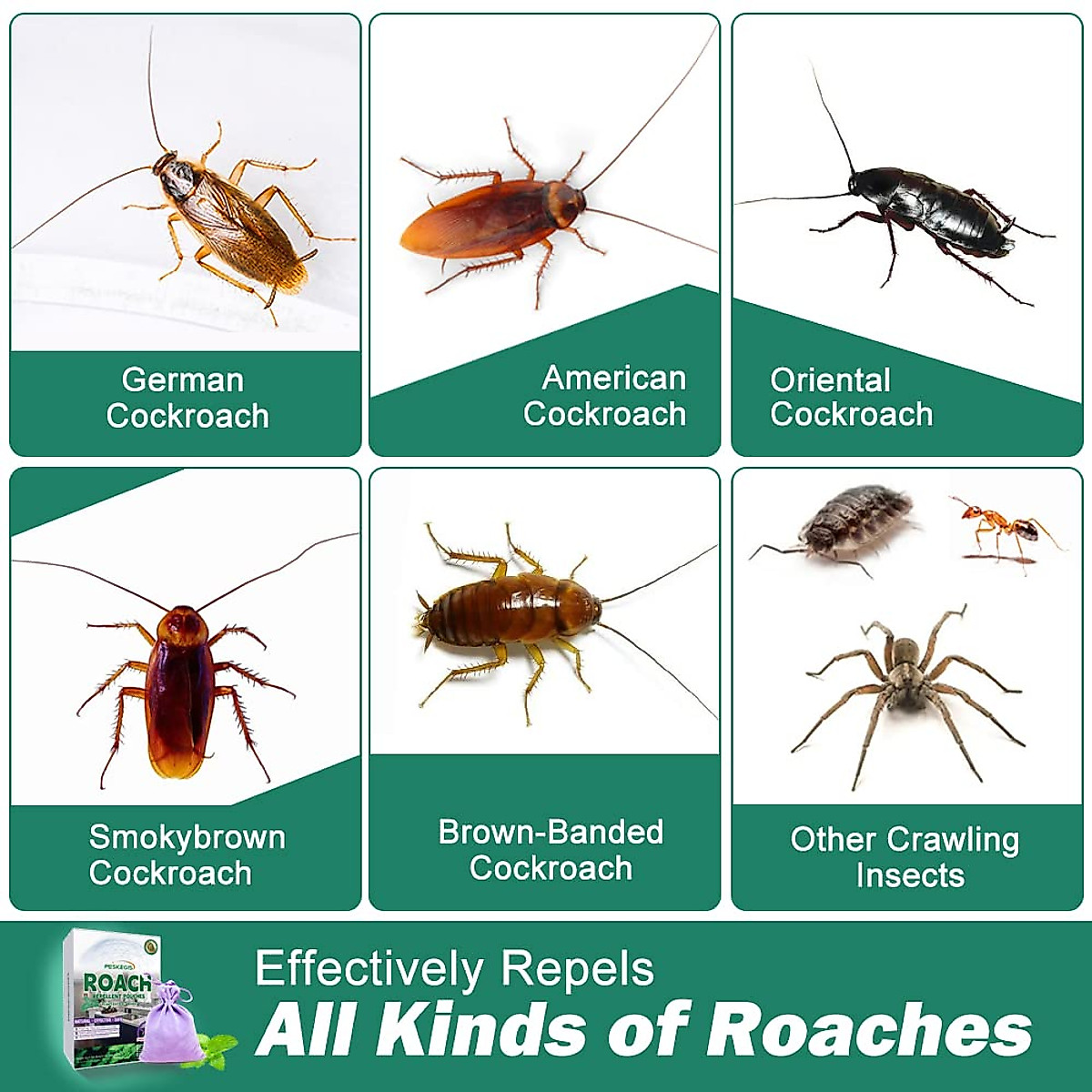 10 Pack Roach Repellent for Home, Natural Ingredients Roach Repellent Indoor Safe for Children and Pets, Environmentally Friendly Pest Control Pouches Provide Long-Lasting Protection