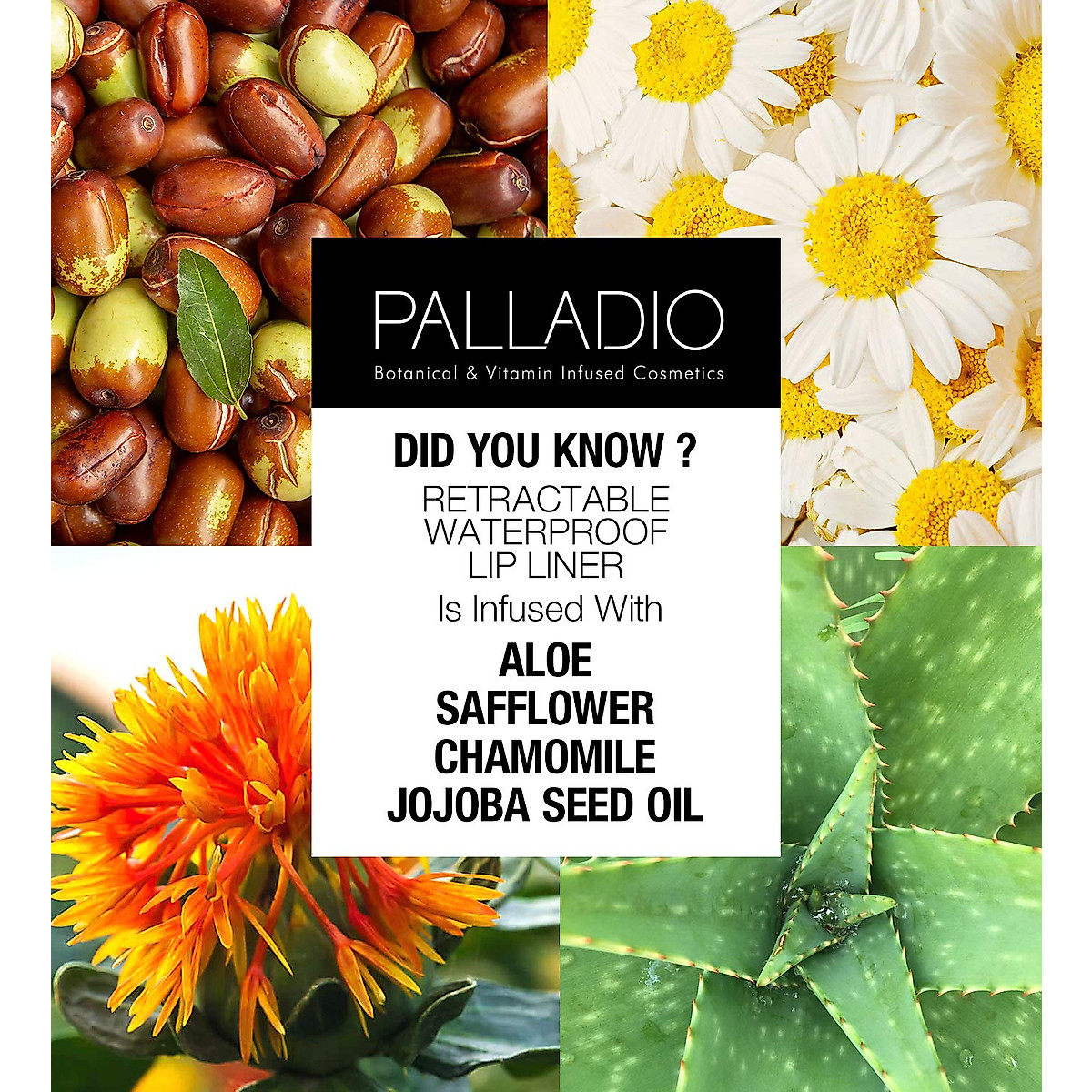 Palladio Retractable Waterproof Lip Liner High Pigmented and Creamy Color Slim Twist Up Smudge Proof Formula with Long Lasting All Day Wear No Sharpener Required, Raisin, 1 Count