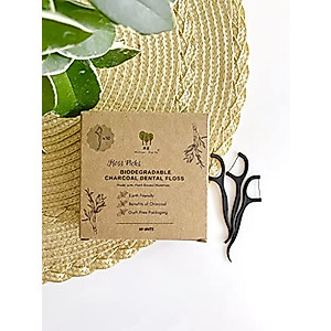 Me Mother Earth Vegan Dental Floss Picks (200 Count) – Natural | Sustainable | Eco Friendly | Charcoal Dental Flossers for a Zero Waste Oral Care