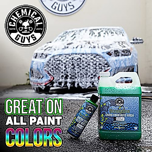 Chemical Guys CWS_110_64 Honeydew Snow Foam Car Wash Soap (Works with Foam Cannons, Foam Guns or Bucket Washes) Safe for Cars, Trucks, Motorcycles, RVs & More, 64 fl oz (Half Gallon), Honeydew Scent