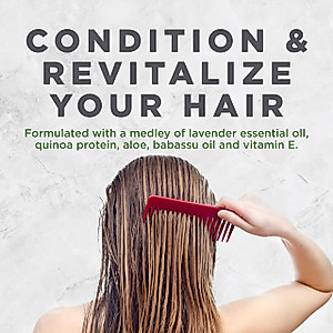 Avalon Organics Revitalizing Lavender Conditioner, For Smooth, Shiny, Touchably Soft Hair For Normal To Dry Hair, 32 Fluid Ounces