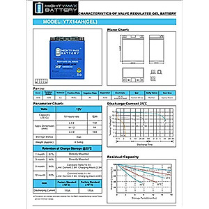 Mighty Max Battery YTX14AHGEL - 12 Volt 12 AH GEL Type, 210 CCA, Rechargeable Maintenance Free SLA AGM Motorcycle Battery