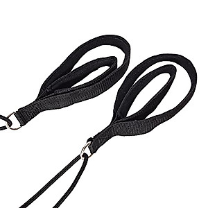 AeroPilates Home Studio Reformer 393 | All-in-One Pilates Home Workout System | No Extra Equipment Needed | Includes 5 Workout DVDs