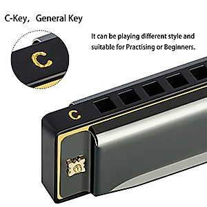 EastRock Blues Harmonica Mouth Organ 10 Hole C Key with Case, Diatonic Harmonica for Professional Player, Beginner, Students gifts, Adult, Friends, Gift Black