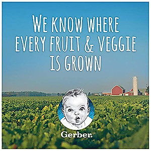 Gerber My 1st Fruits and Veggies Stage 1 Baby Food Starter Pack Bundle, 2 items, 2 Ounce Tubs, (12 Tubs Total)