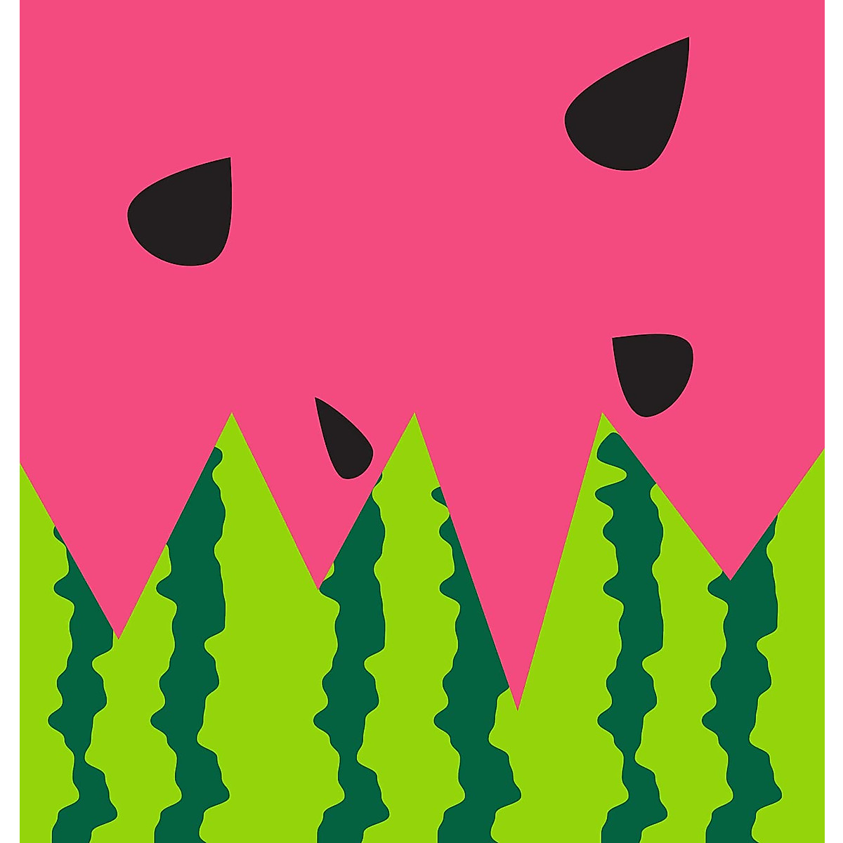 Hocsocx Watermelons Socks Performance Liner Moisture-Wicking Protection for Field Hockey, Ice Hockey, and Soccer